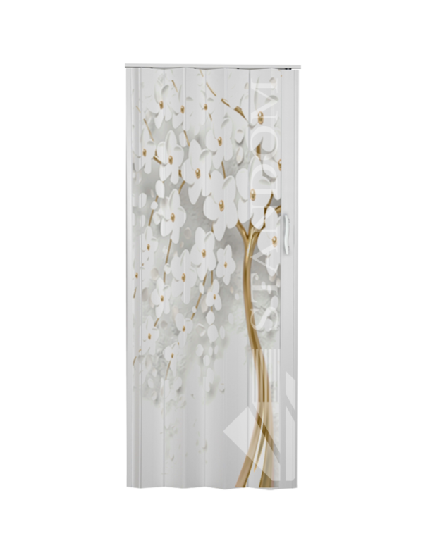 Accordion Doors - Standom