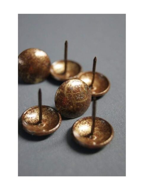 Accordion Doors - Standom